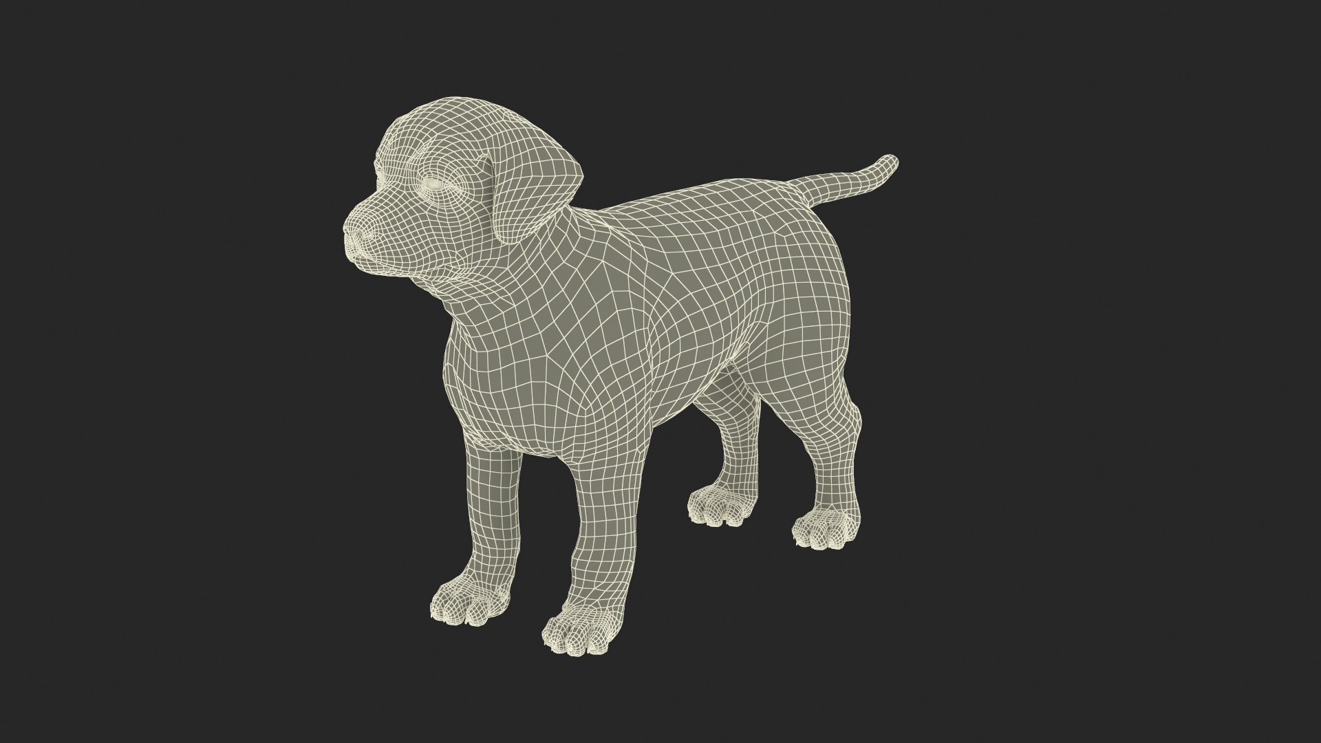 3D Brown Labrador Retriever Puppy Fur For Cinema 4D Model - TurboSquid ...