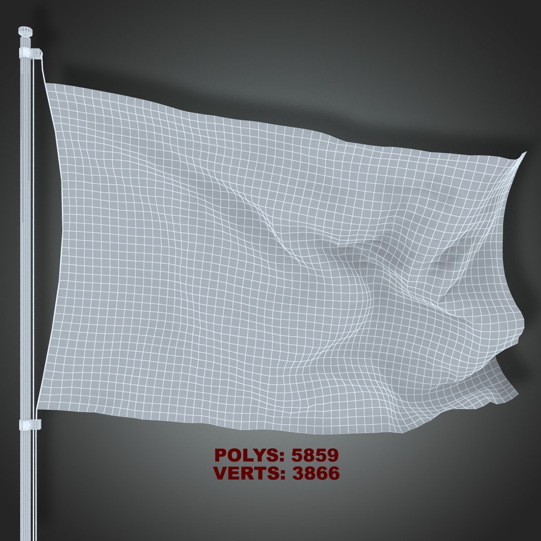 Animation Flag 3d Model