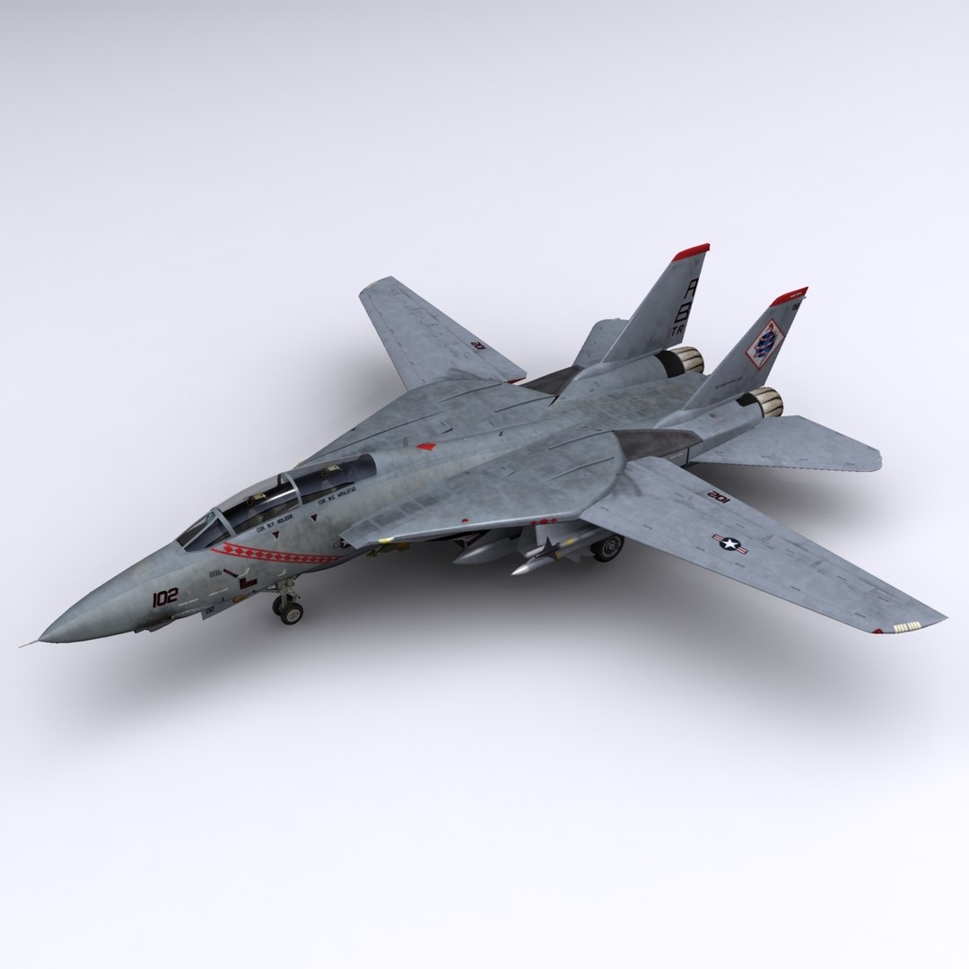 F-14 Fighter Jet F-14b Max