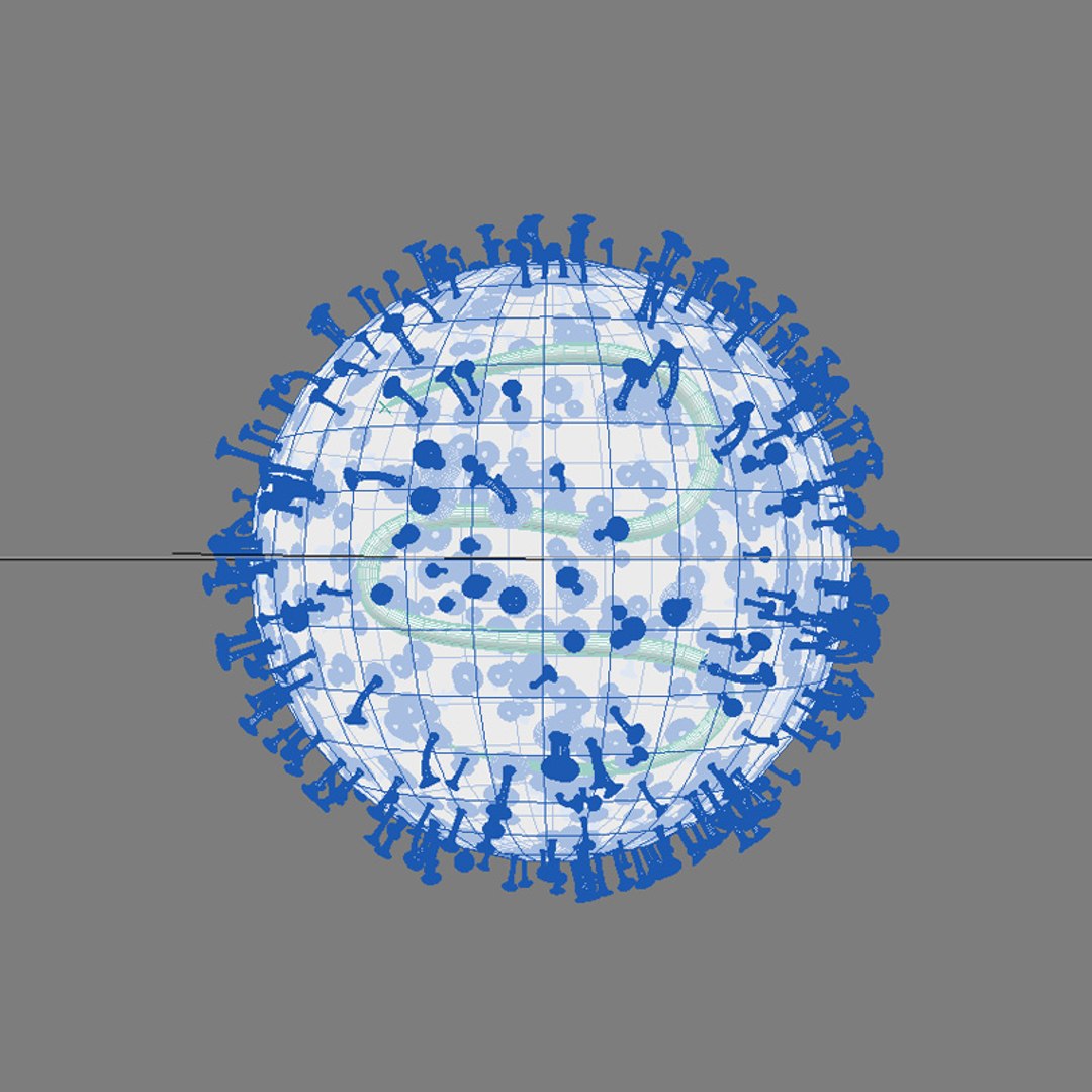 3d Model Of Microbes Micro Organisms