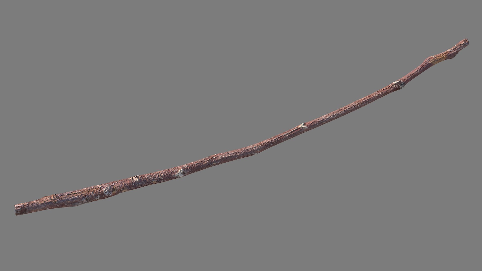 Twig Scanned 25 Model - TurboSquid 2088527