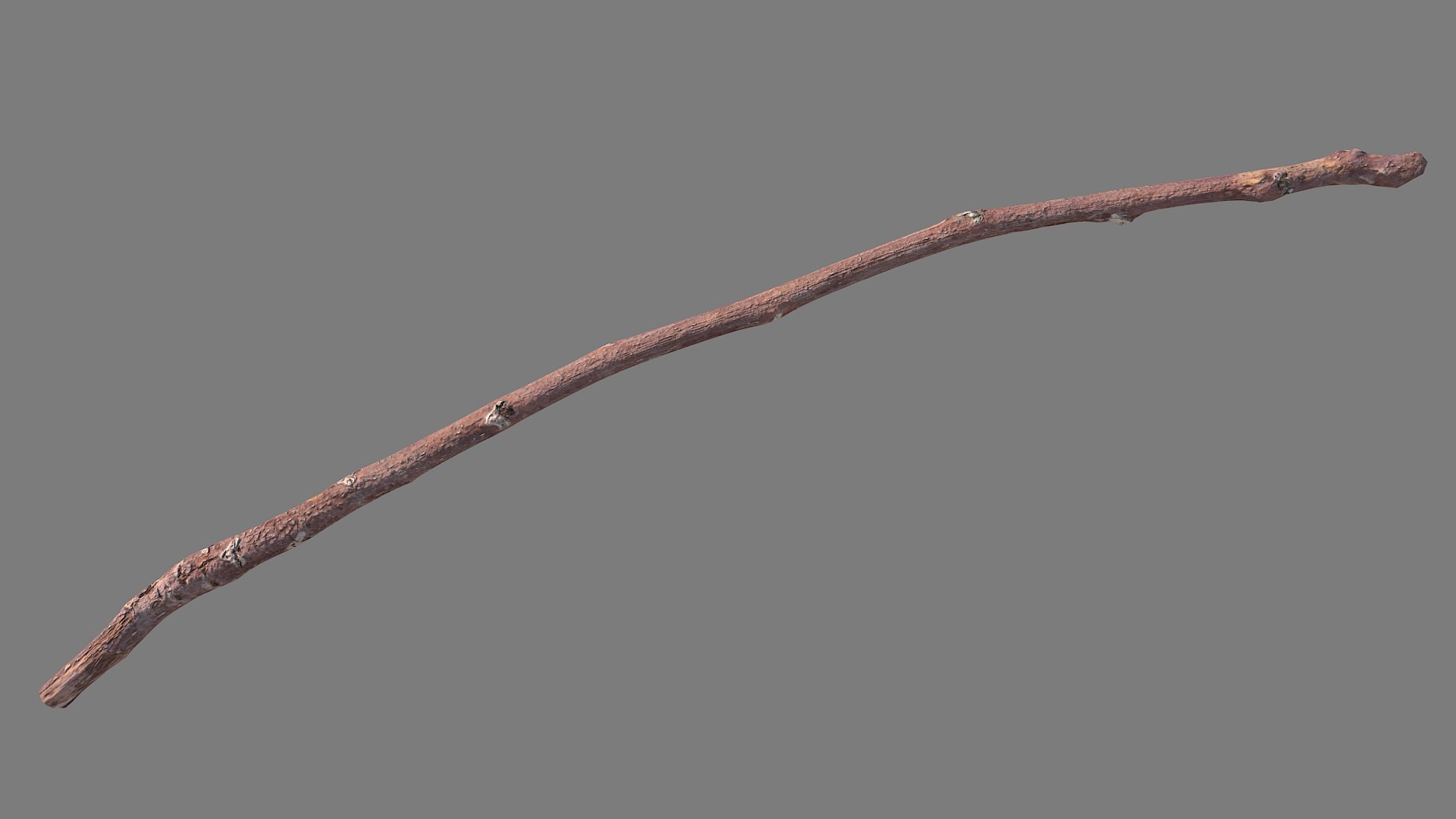 Twig Scanned 25 Model - TurboSquid 2088527
