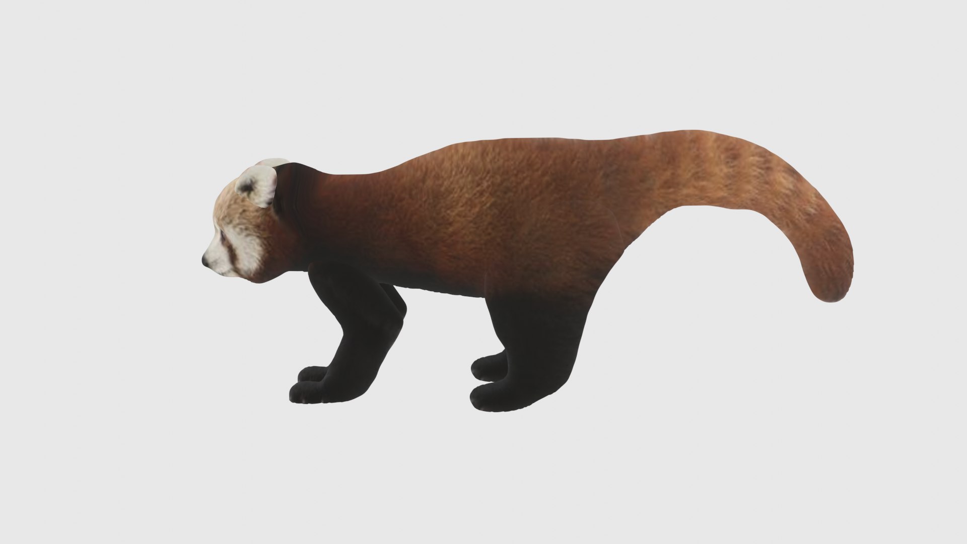 3D model Low Poly Red Panda Rigged With Realistic Texture - TurboSquid ...