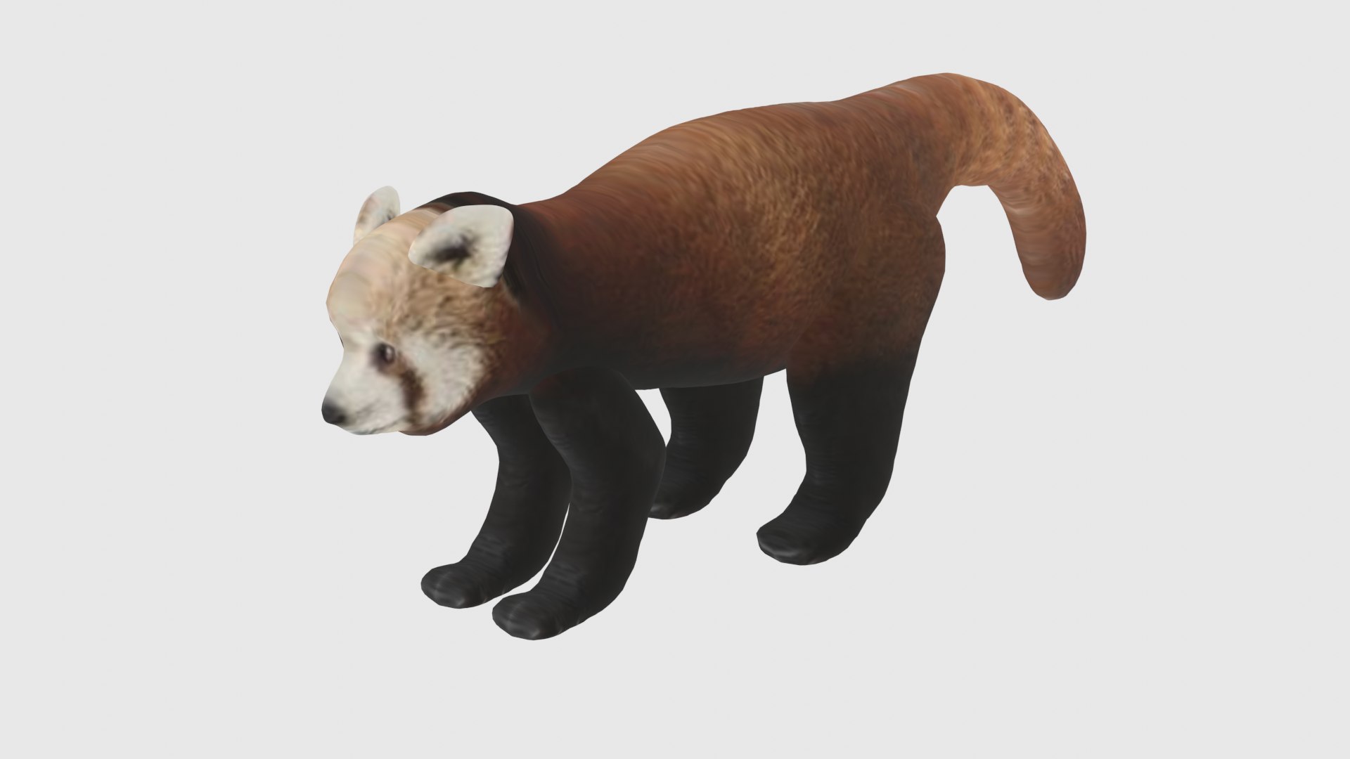 3D model Low Poly Red Panda Rigged With Realistic Texture - TurboSquid ...