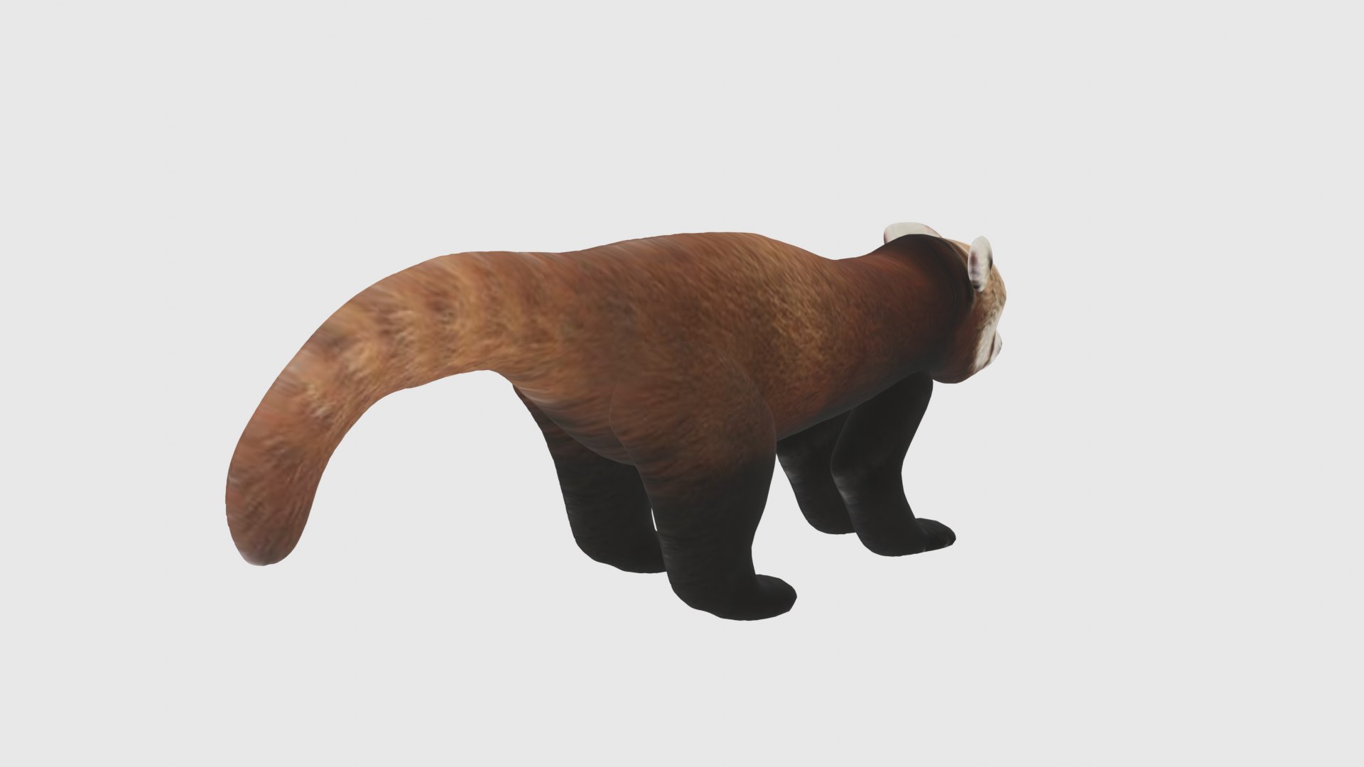 3D model Low Poly Red Panda Rigged With Realistic Texture - TurboSquid ...