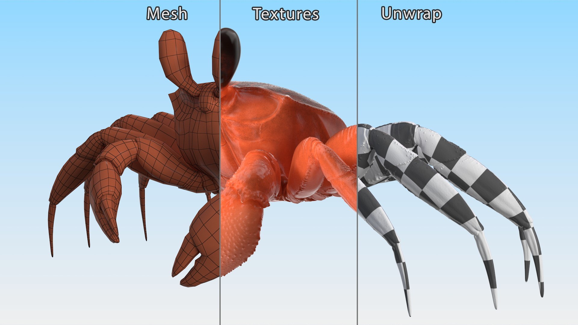 3D Coastal Burrowing Crab Red Model - TurboSquid 2422245