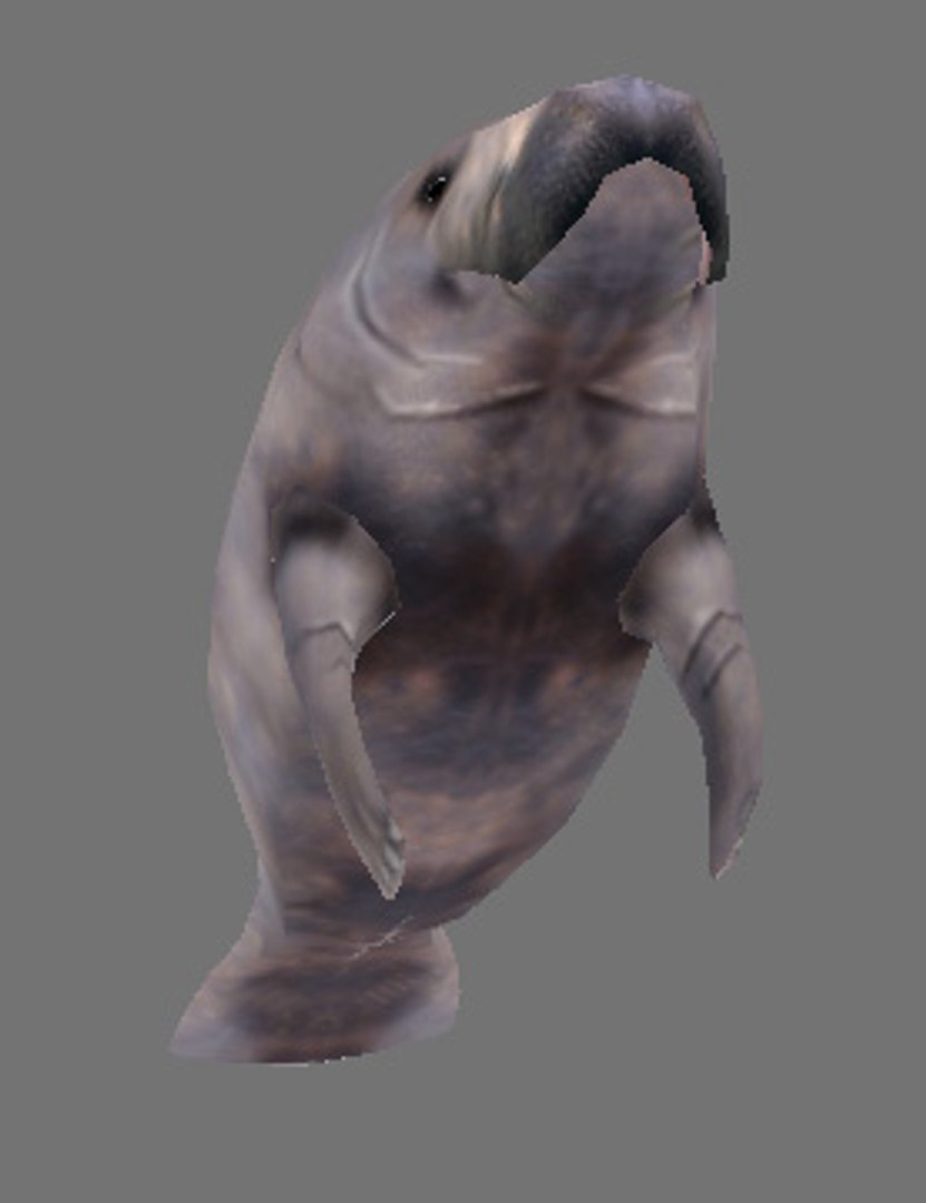 Manatee Games 3d Model