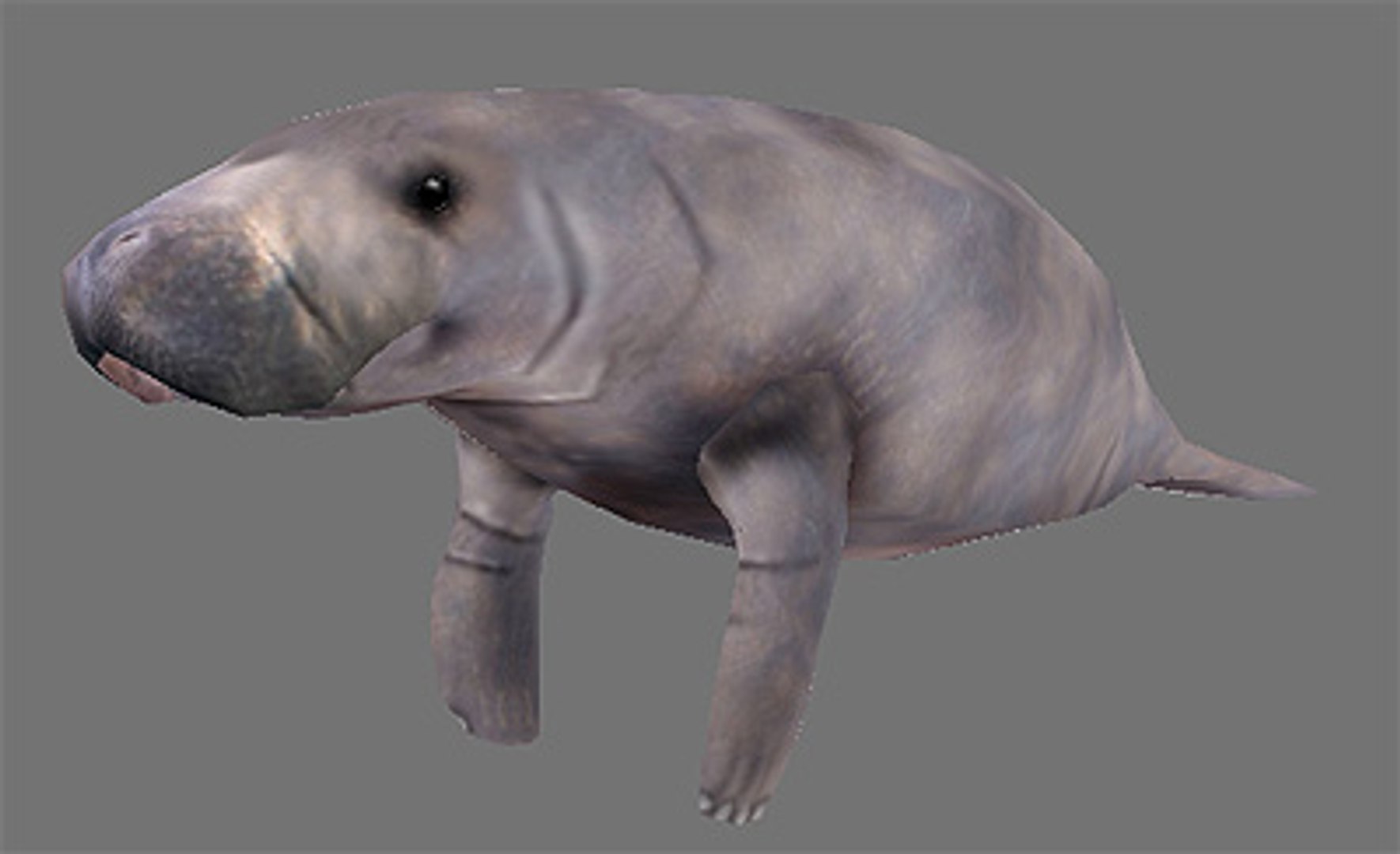 Manatee Games 3d Model