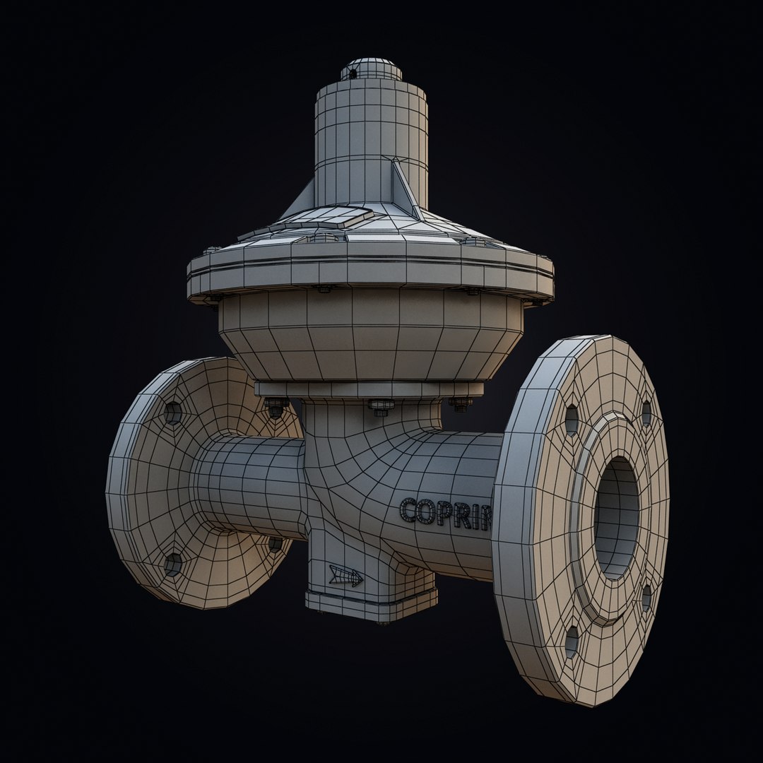 3d Model Gas Pressure Regulator