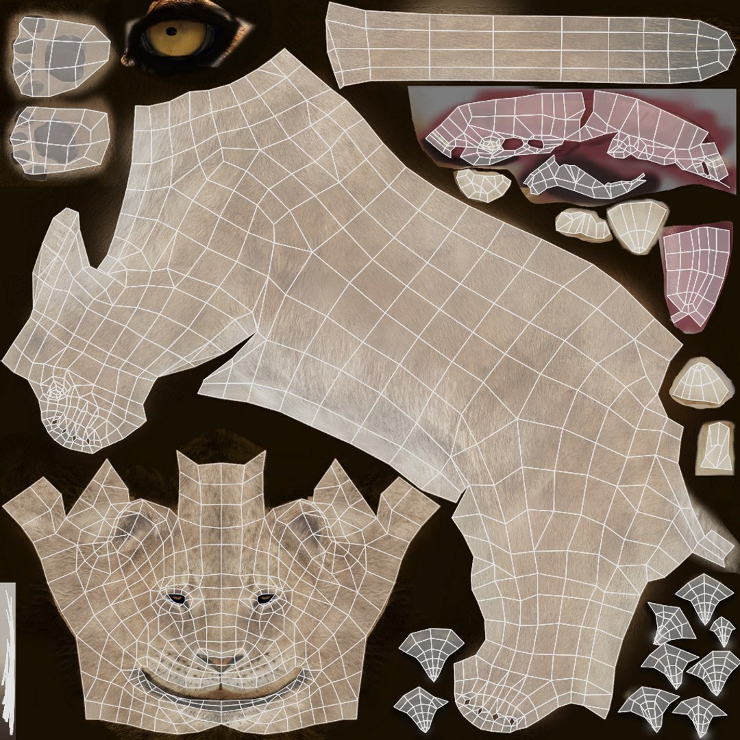 Lioness 3D model - TurboSquid 1868044