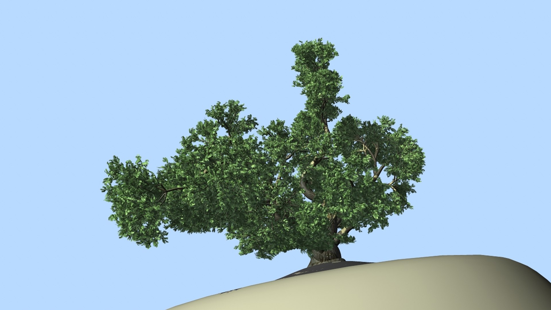 3d Magnificent Tree Growing