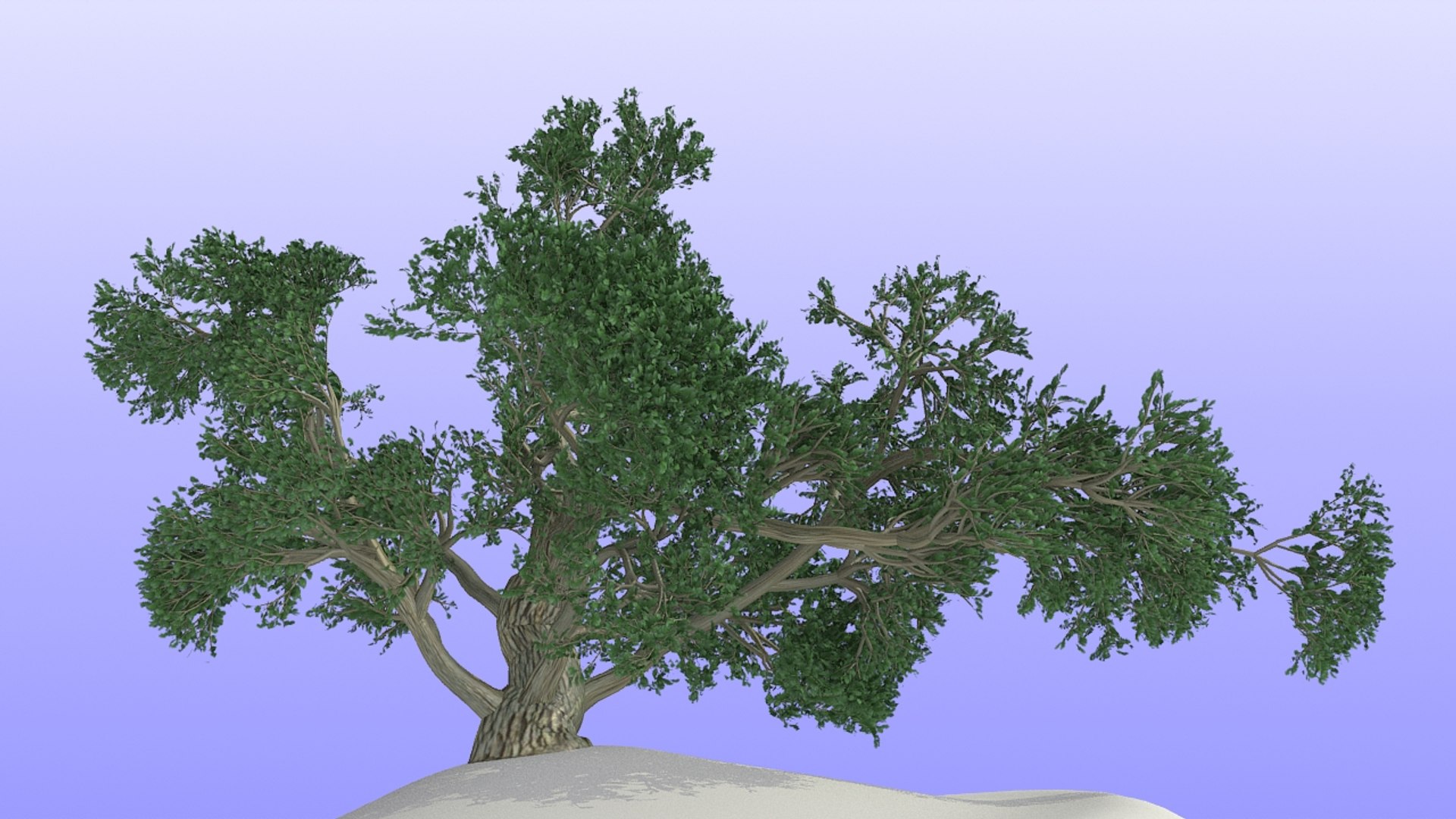 3d Magnificent Tree Growing