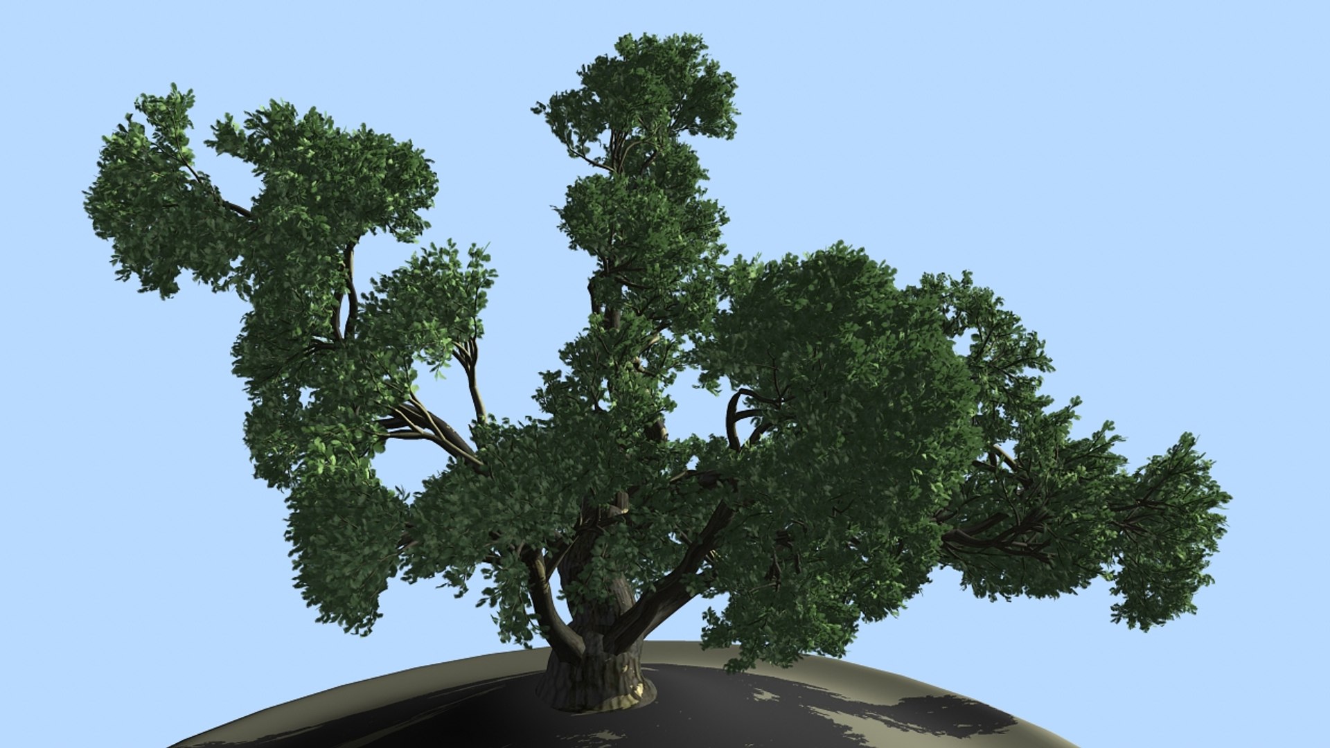 3d Magnificent Tree Growing