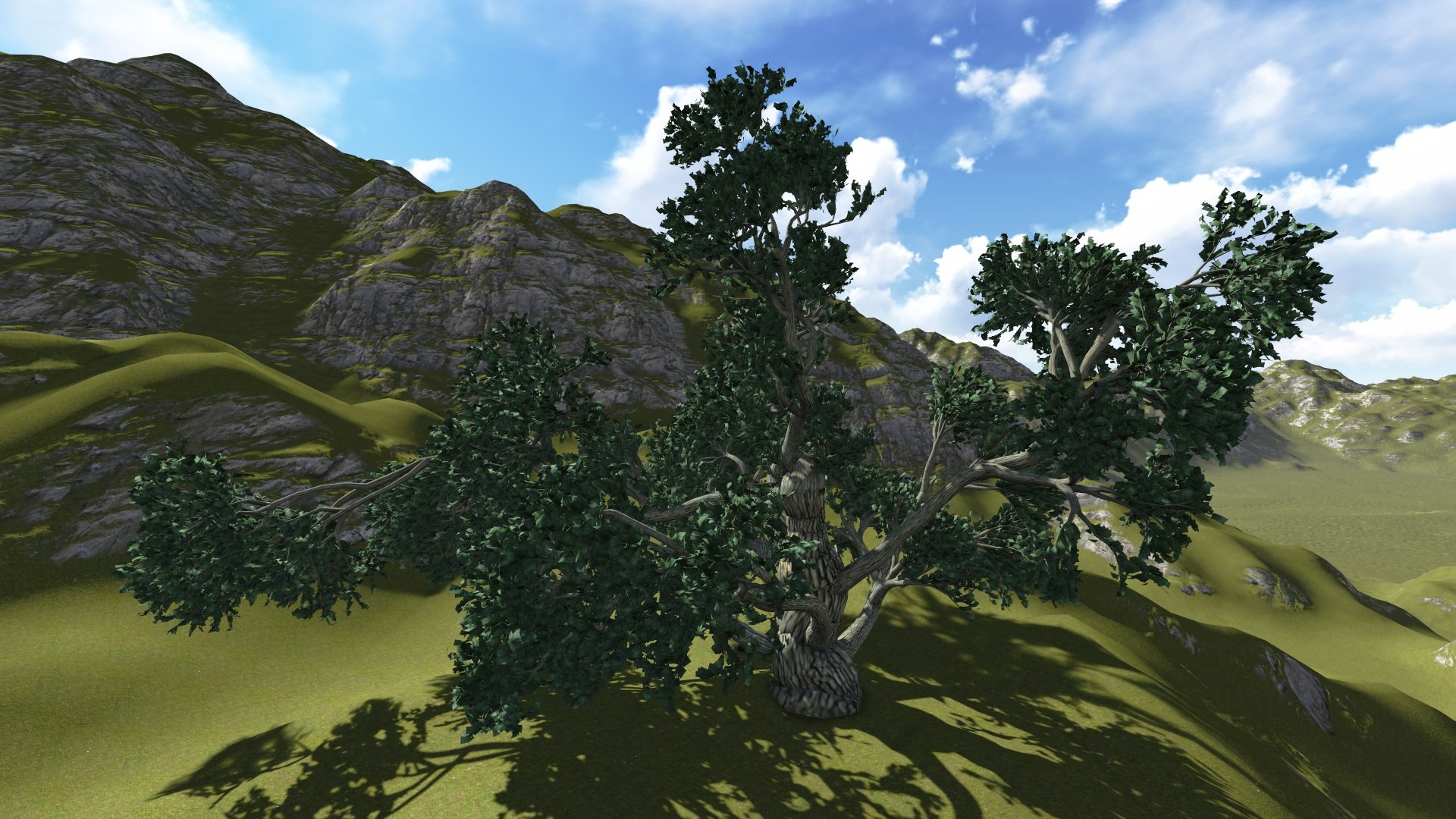 3d Magnificent Tree Growing