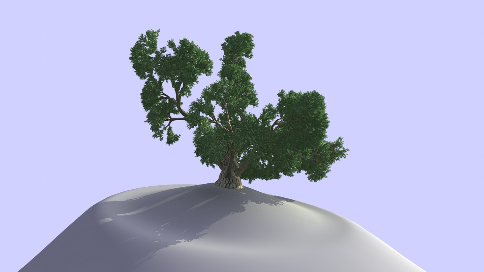 3d Magnificent Tree Growing