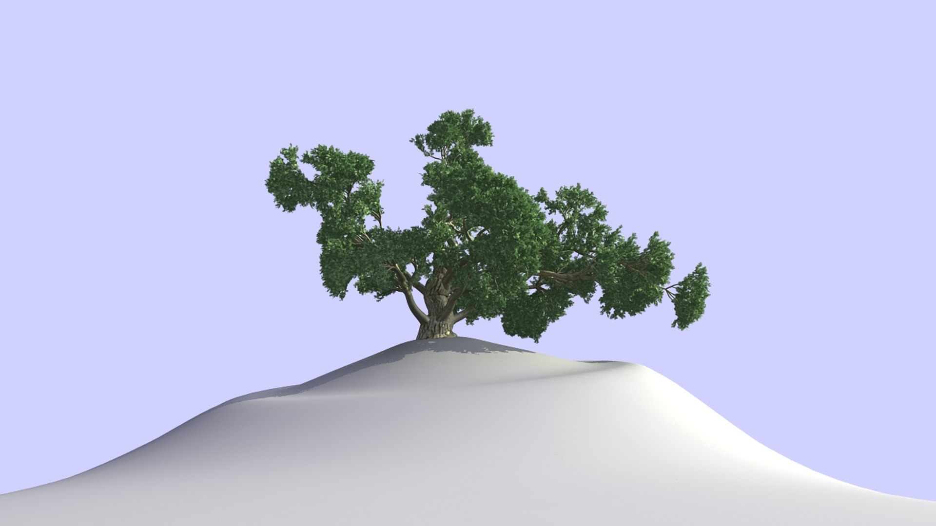 3d Magnificent Tree Growing