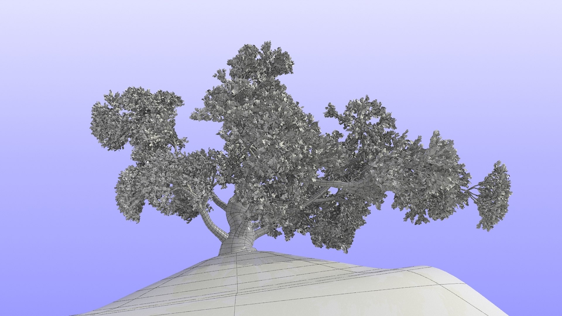 3d Magnificent Tree Growing