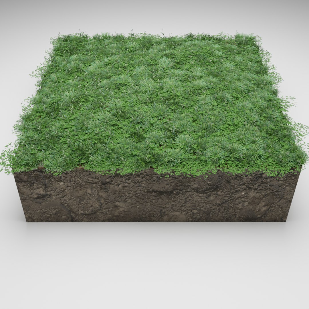 Realistic Grass 3D Model - TurboSquid 2107317