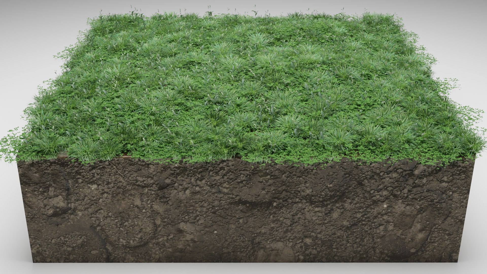 Realistic Grass 3D Model - TurboSquid 2107317