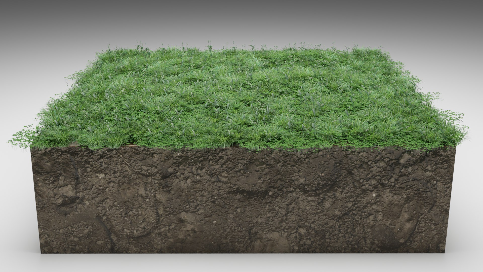 Realistic Grass 3D Model - TurboSquid 2107317