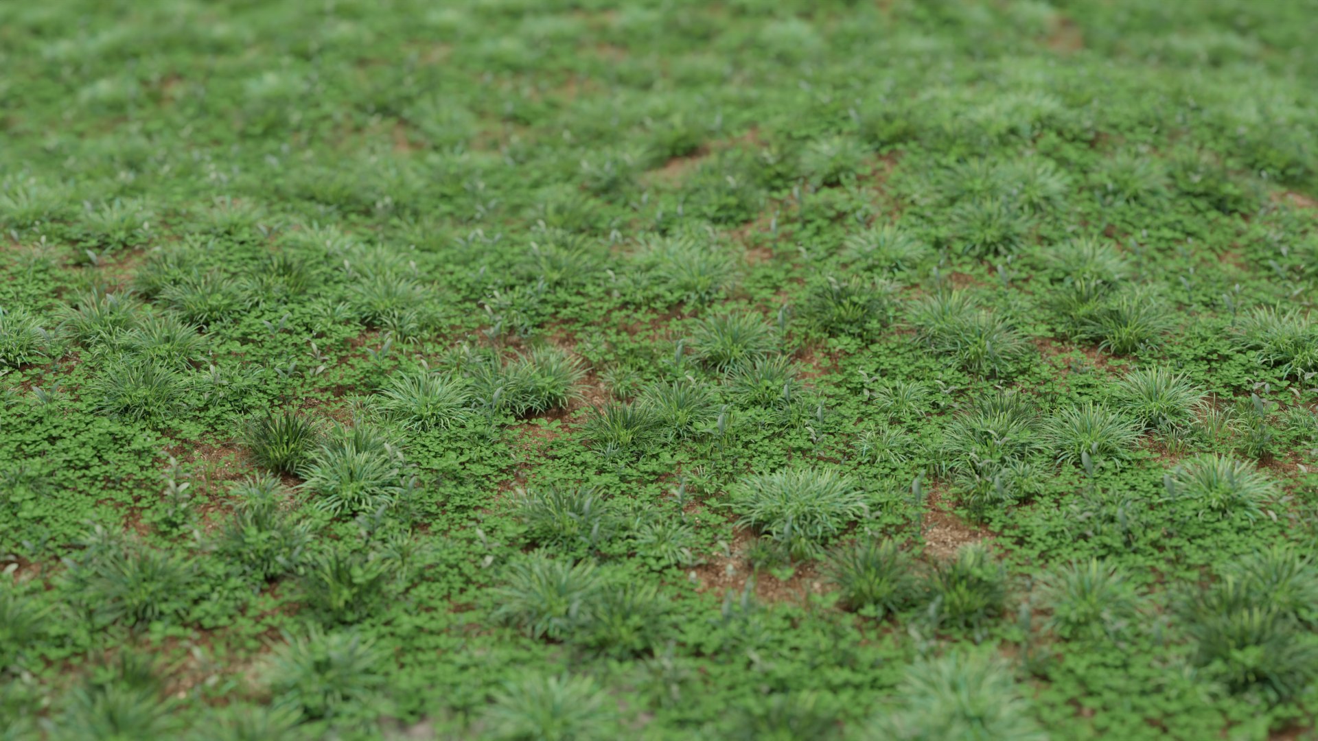 Realistic Grass 3D Model - TurboSquid 2107317
