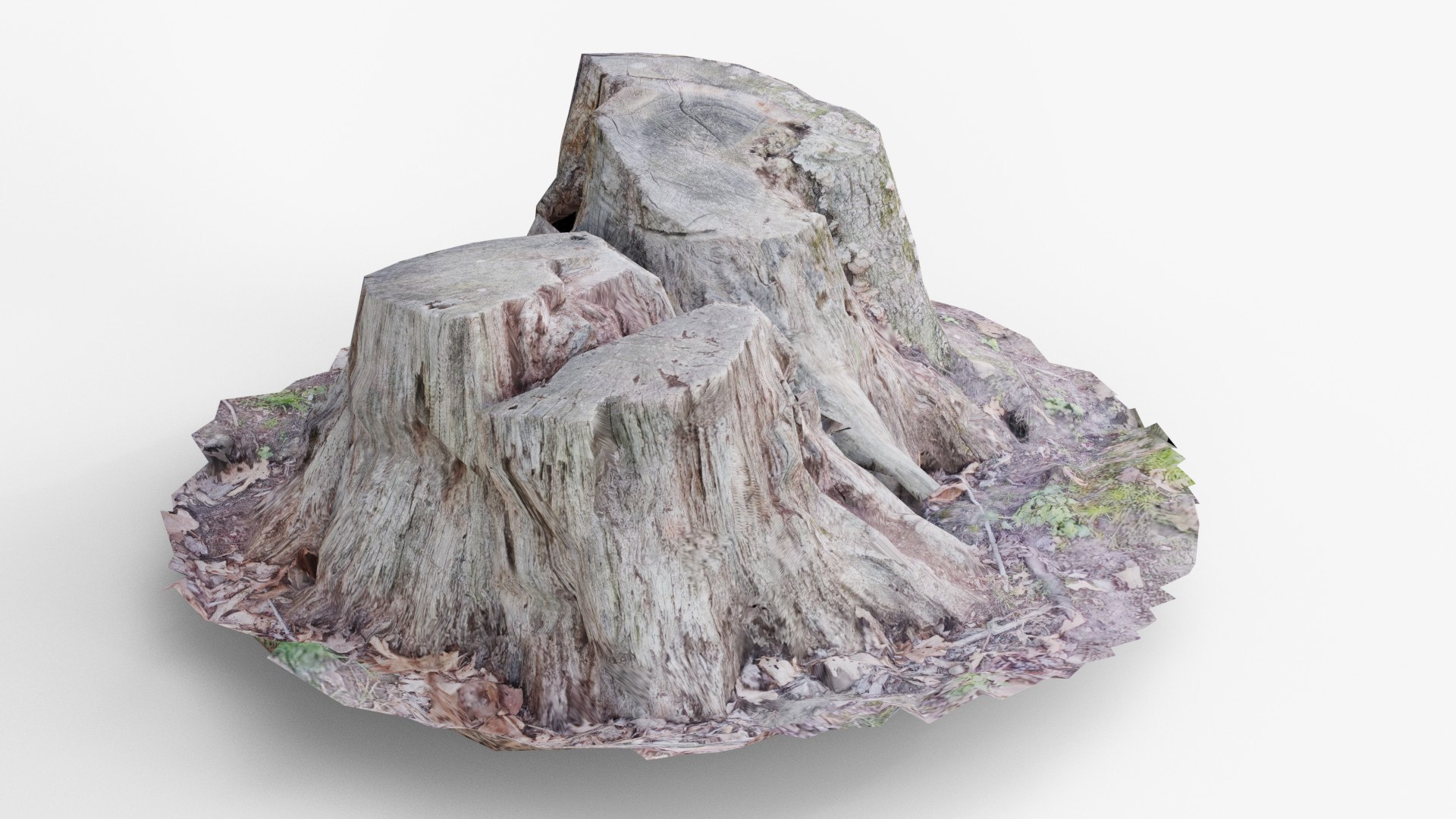 Tree Trunk 3D - TurboSquid 1809136
