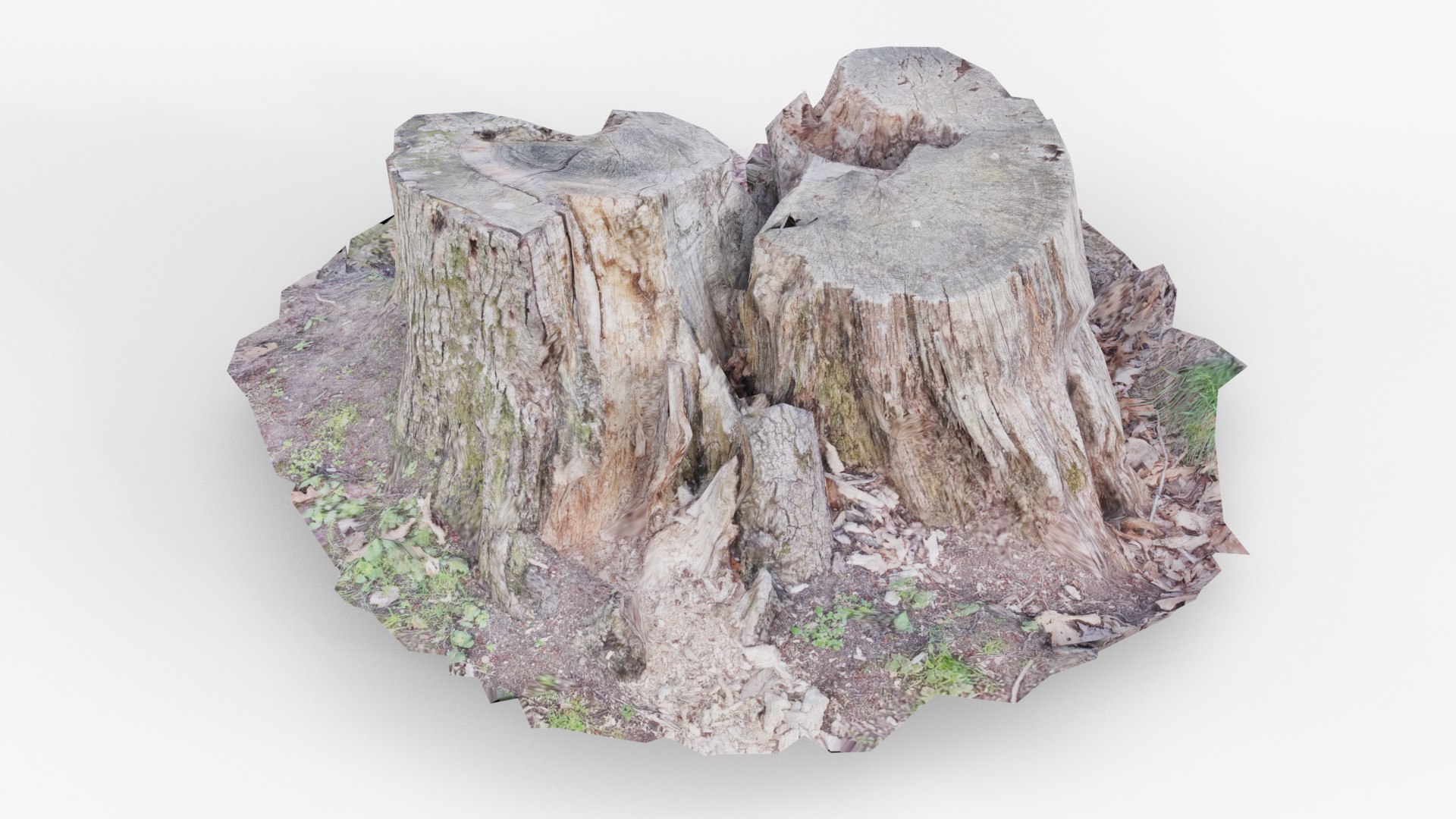 Tree Trunk 3D - TurboSquid 1809136