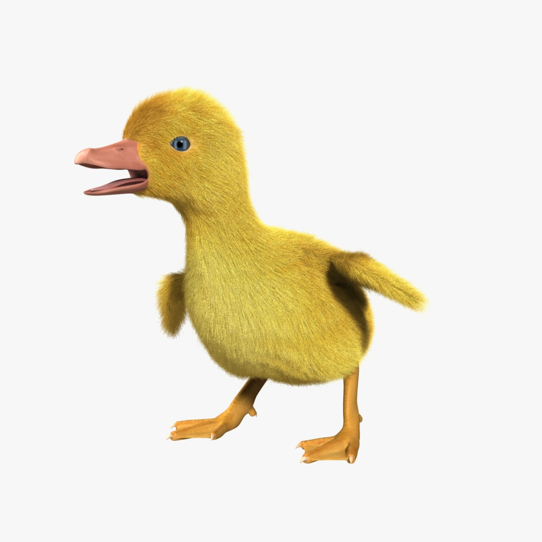 maya duckling animation fur