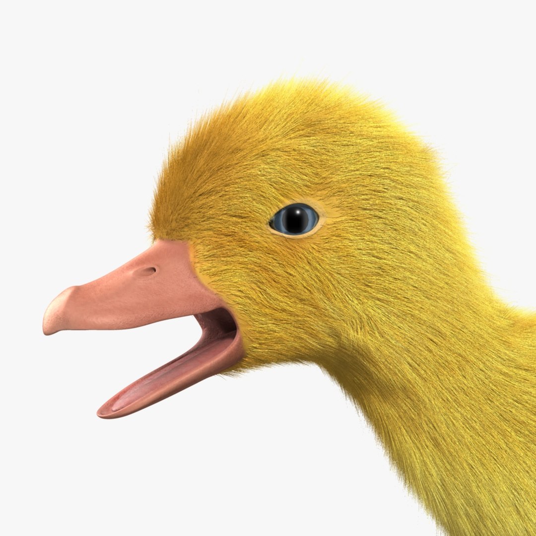 maya duckling animation fur