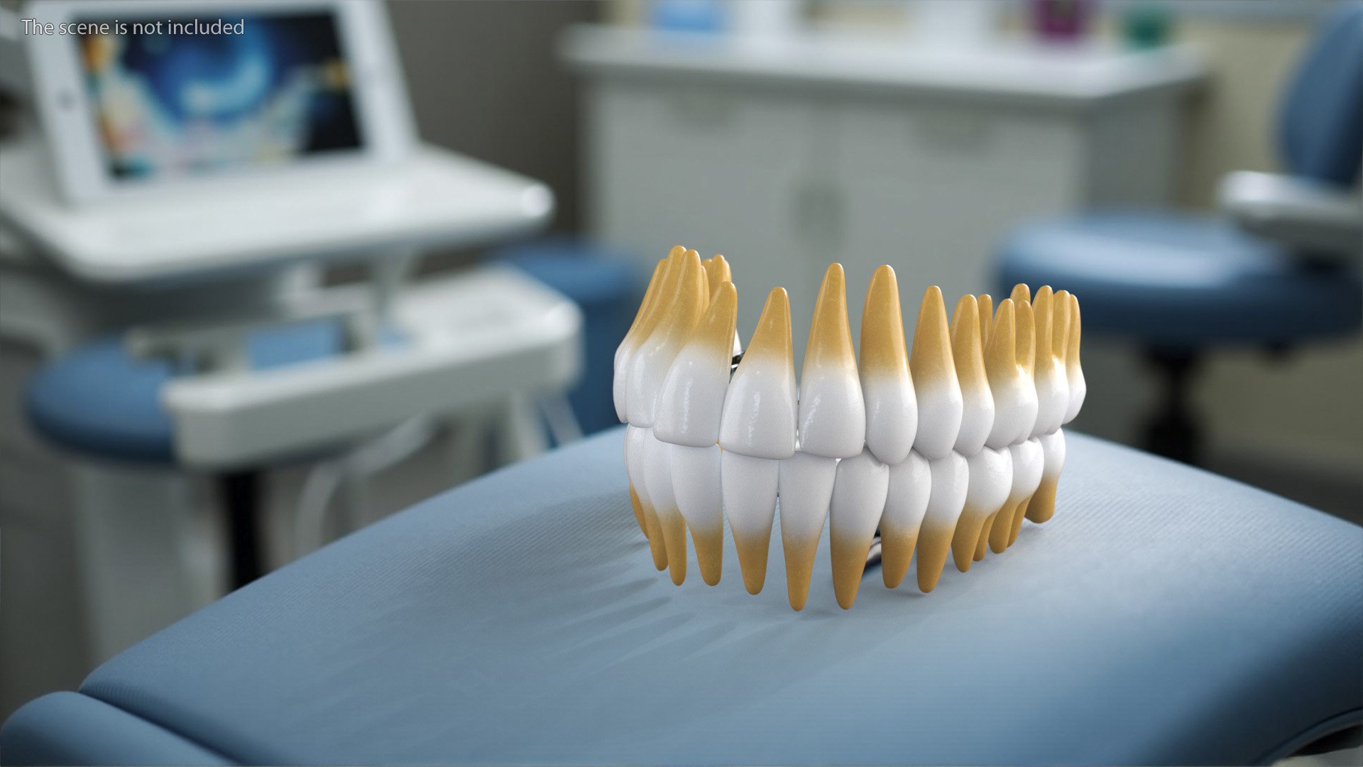 Dental Typodonts With Bracket Collection 3D Model - TurboSquid 2346556