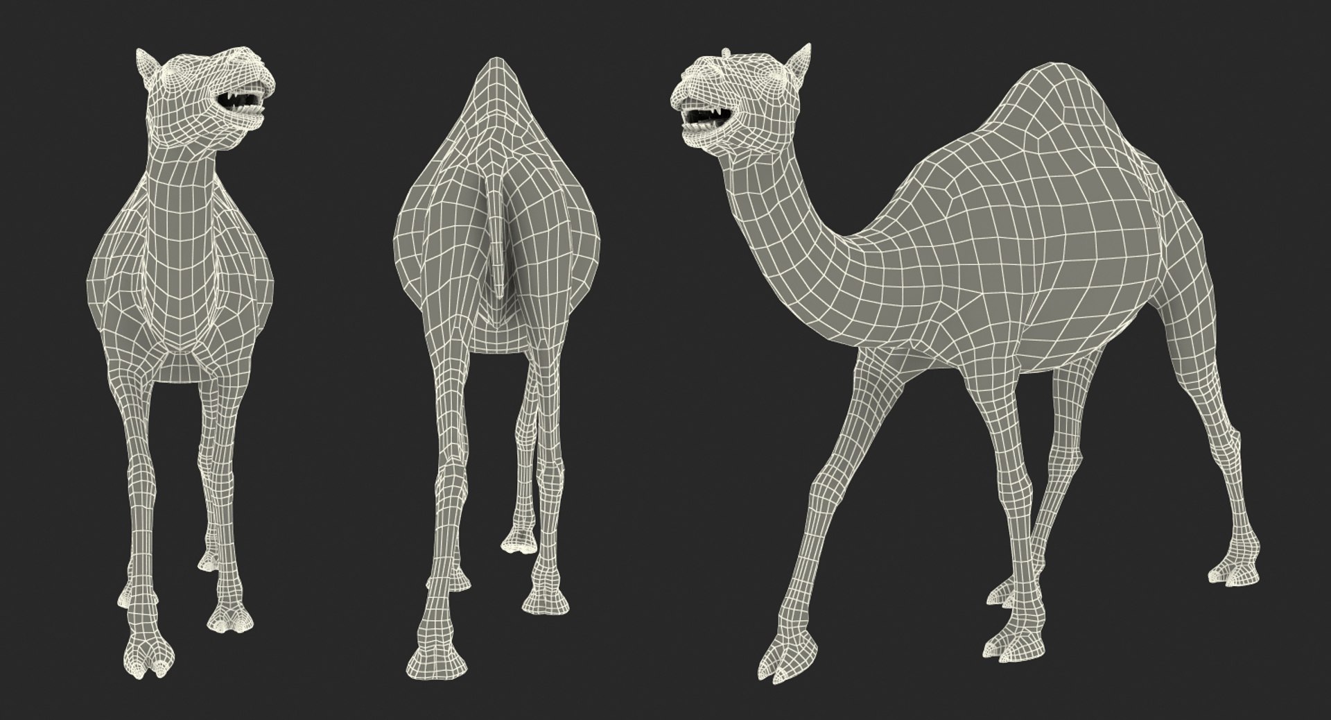 3d camel walking pose fur