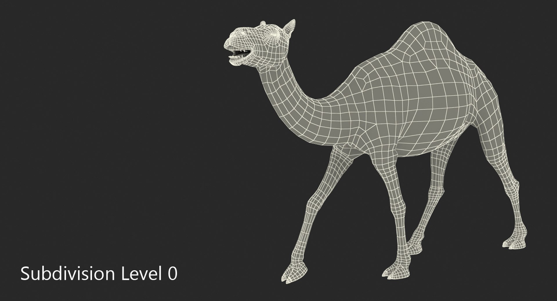 3d camel walking pose fur