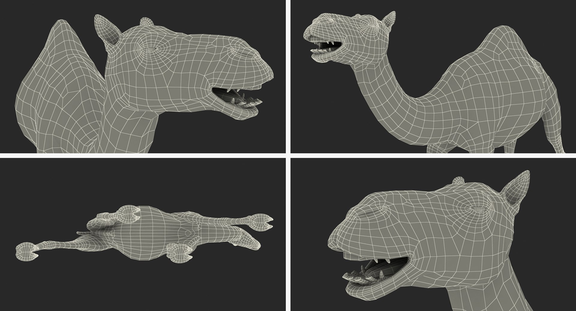 3d camel walking pose fur