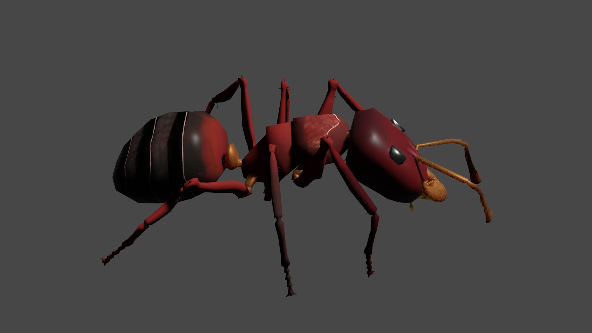 Free 3D Ant - TurboSquid 2225056