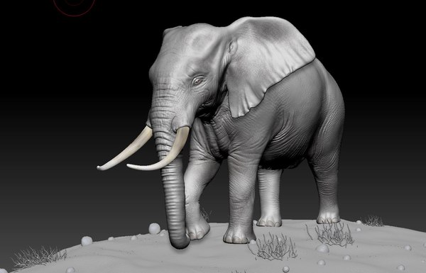 modelo 3d animales - TurboSquid 1377605