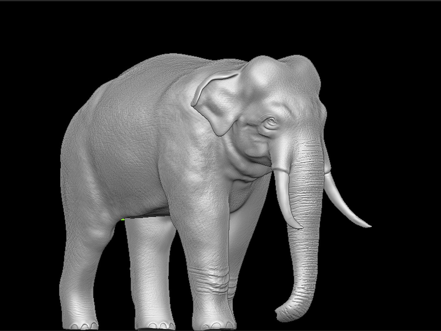 Elephant 3d Model