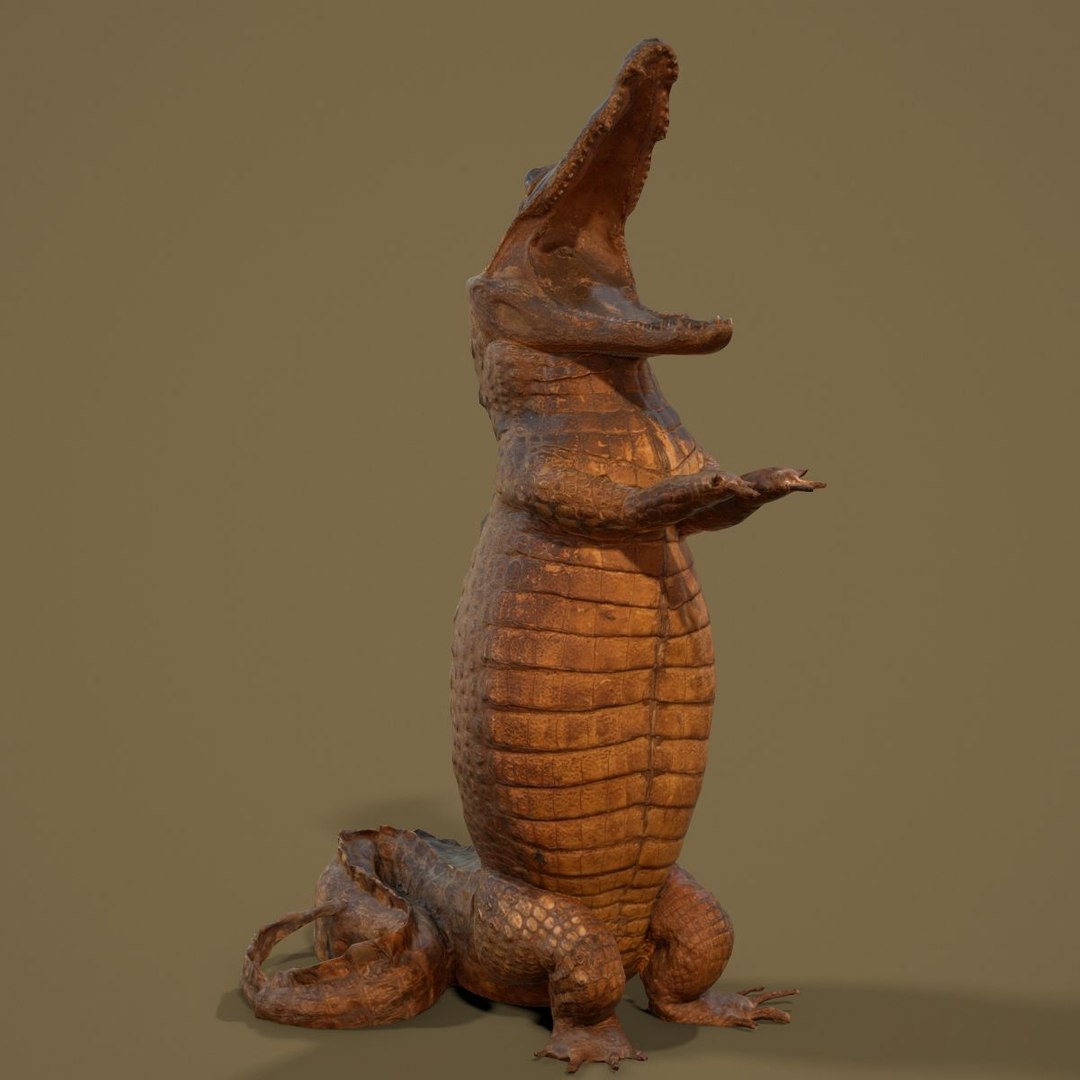 Animal Digital Photogrammetry 3D Model - TurboSquid 1163017