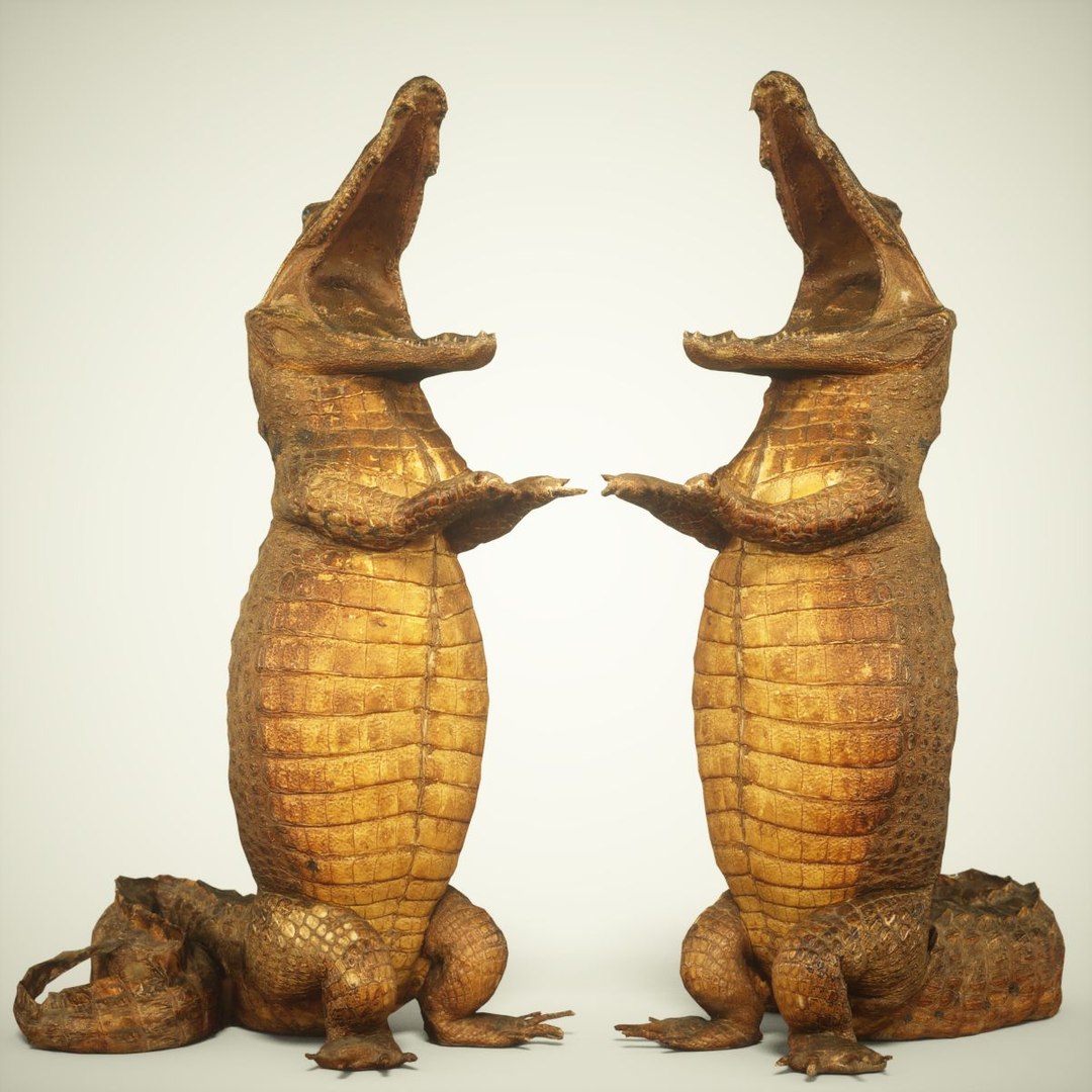 Animal Digital Photogrammetry 3D Model - TurboSquid 1163017