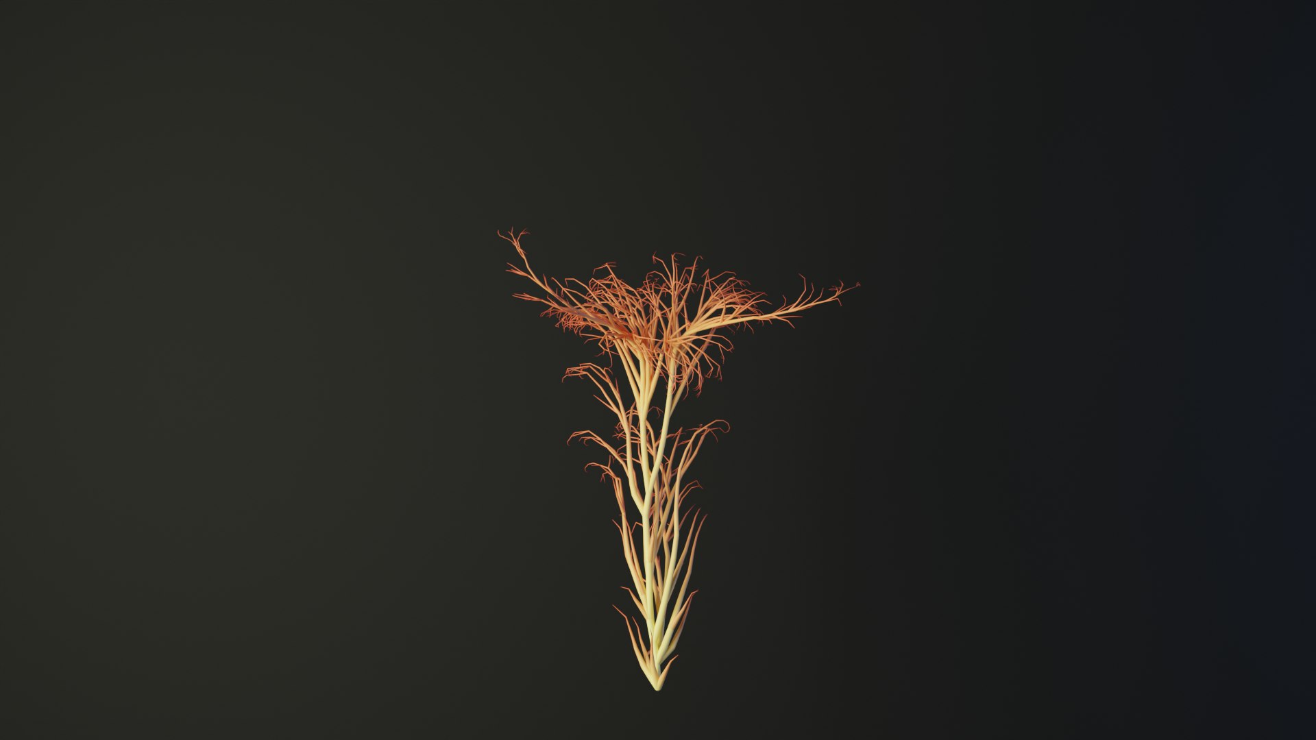 3D Human Uterus Unrolling Growing Animation - TurboSquid 1979567