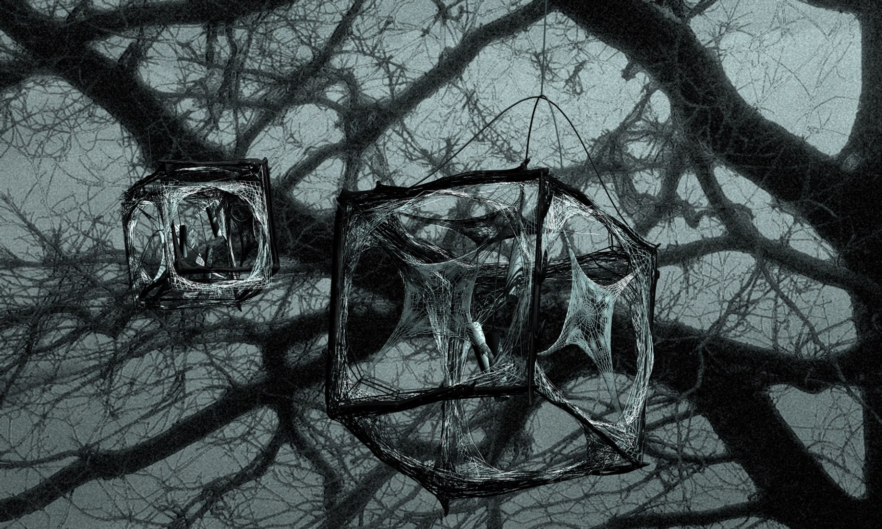 Structure - Spiders 3d Obj