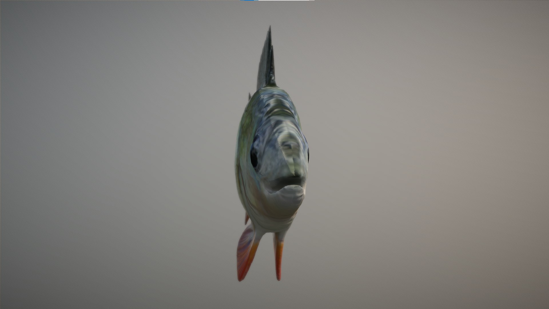 Free Bass - Fish 3D - TurboSquid 1927365