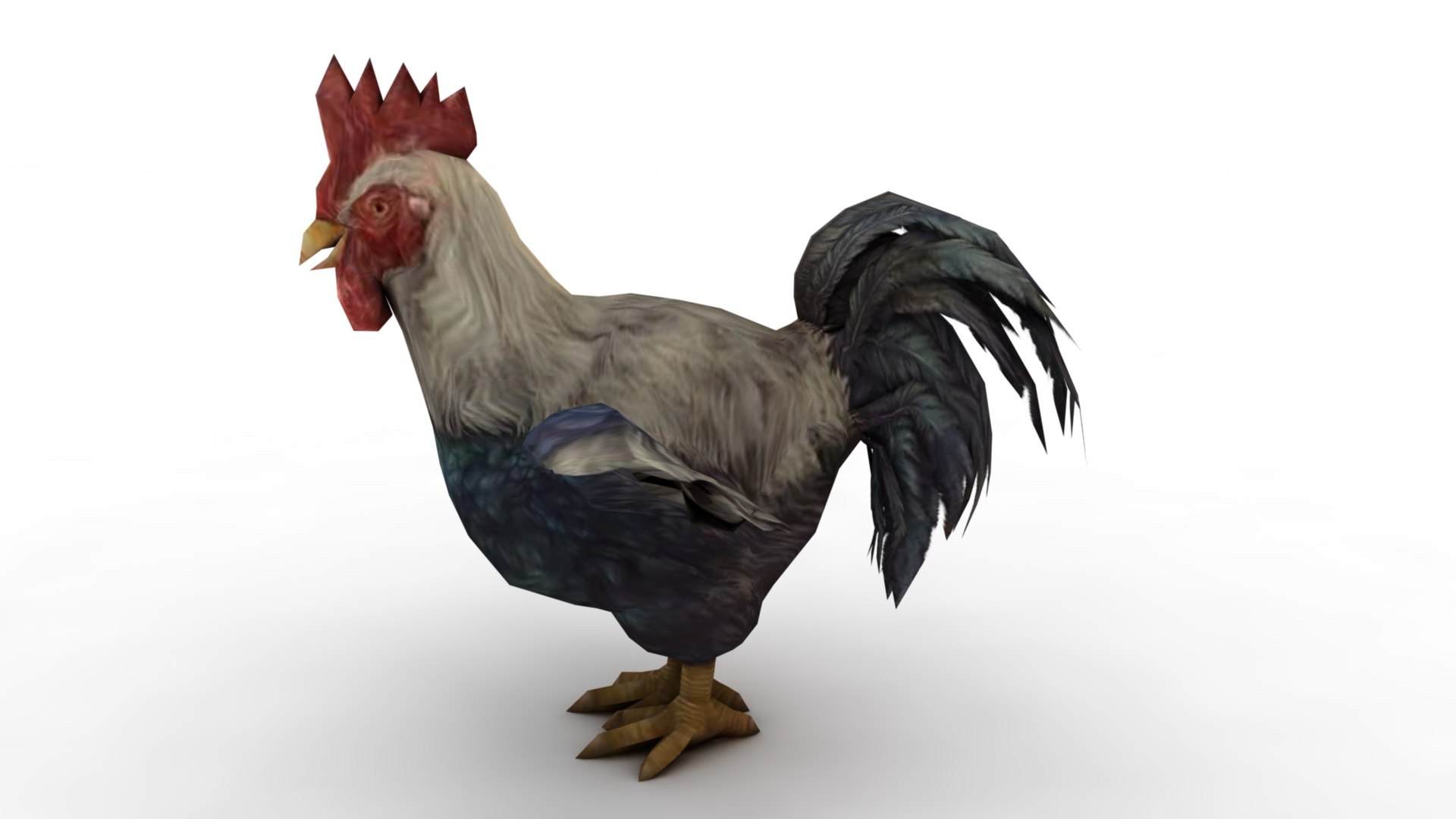 3D Chicken Model - TurboSquid 2308223