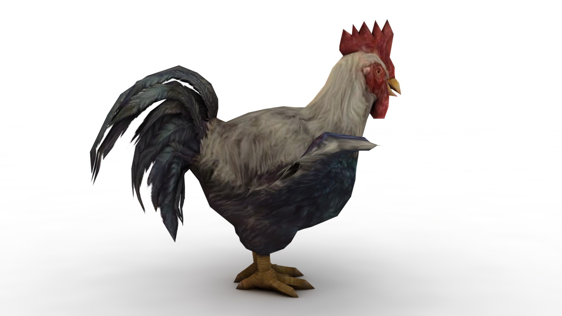 3D Chicken Model - TurboSquid 2308223
