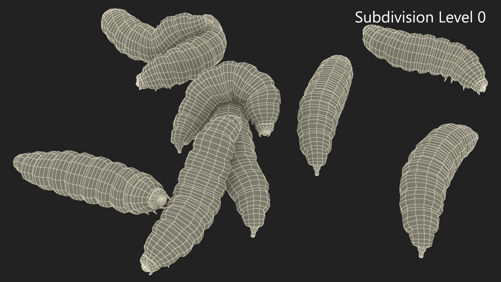 Maggot Fly Scene Model - TurboSquid 2164592