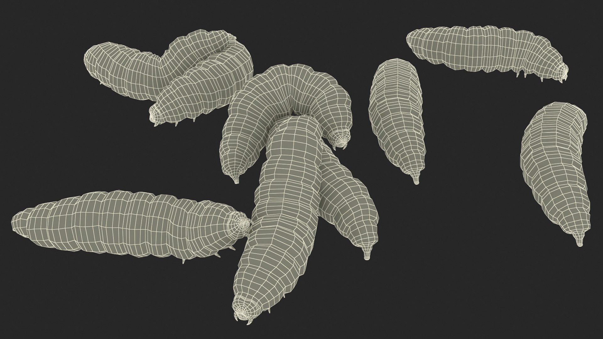 Maggot Fly Scene model - TurboSquid 2164592