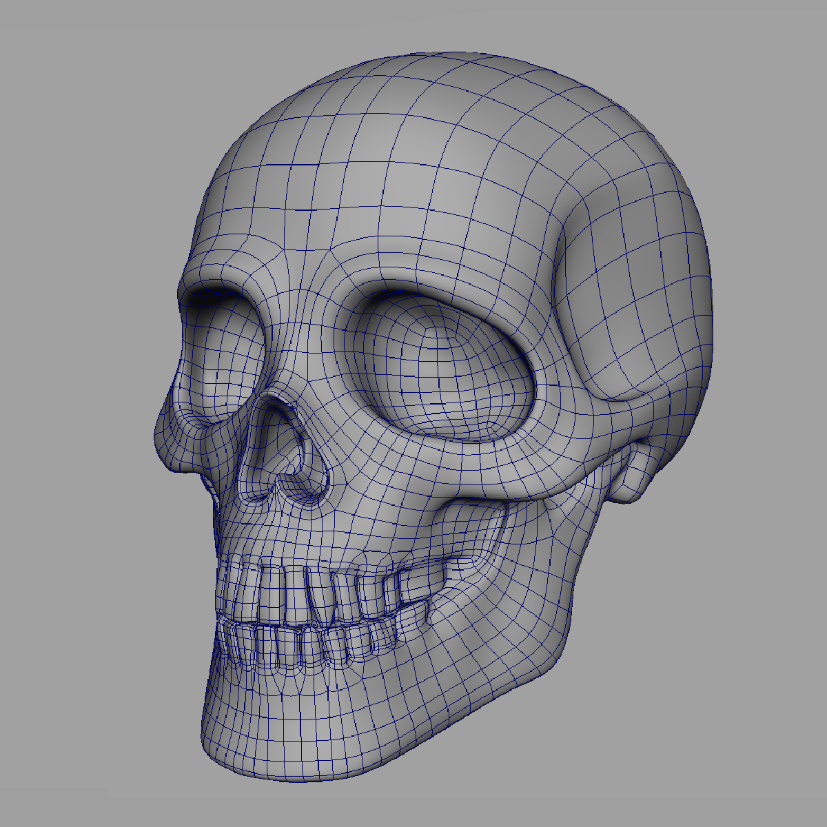 3ds max human skull