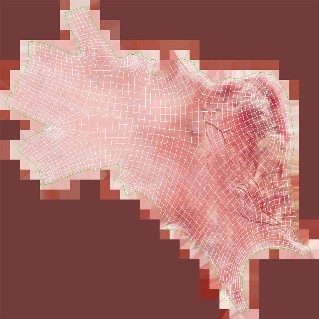 Medically Accurate Transverse Cross-Section Of The Human Heart 3D Model ...