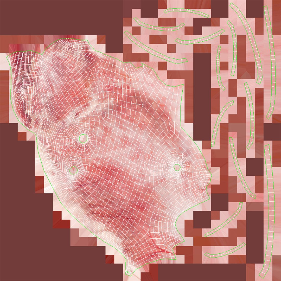 Medically Accurate Transverse Cross-Section Of The Human Heart 3D Model ...