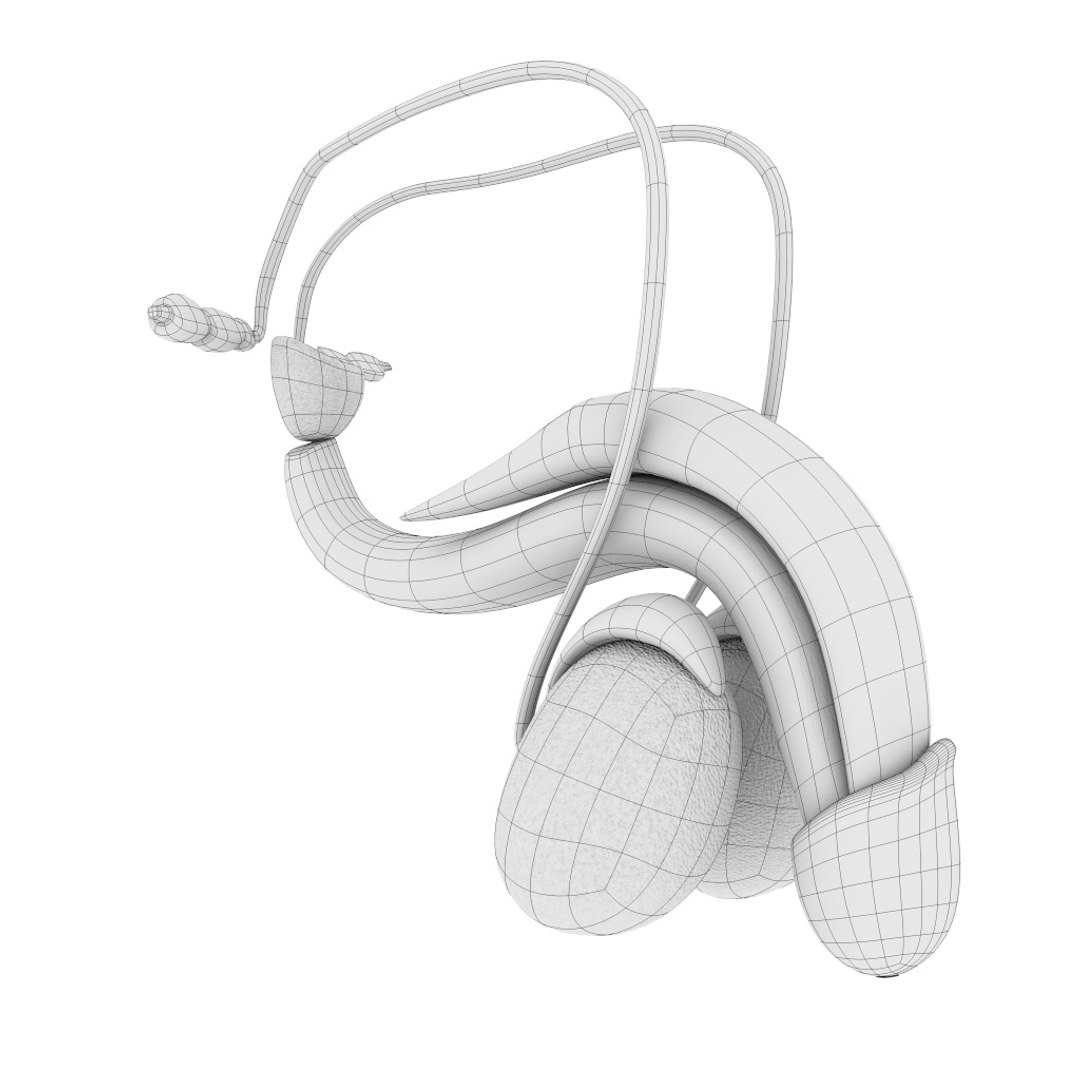 Male Female Reproductive Dissection 3D Model - TurboSquid 1371212