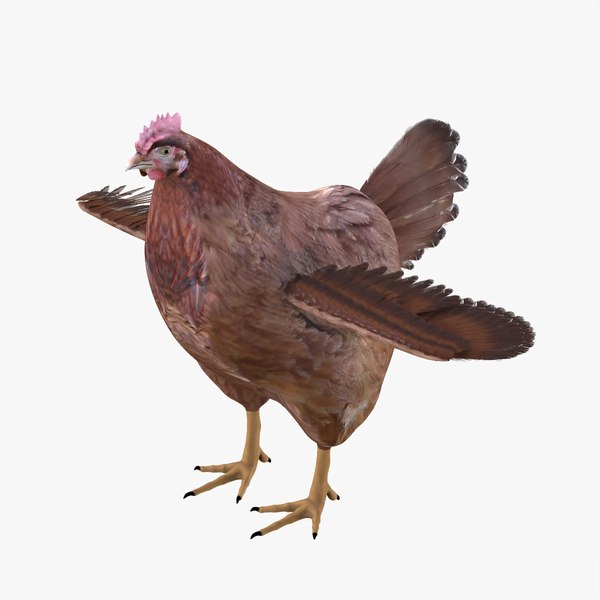 Chicken STL Models for Download | TurboSquid